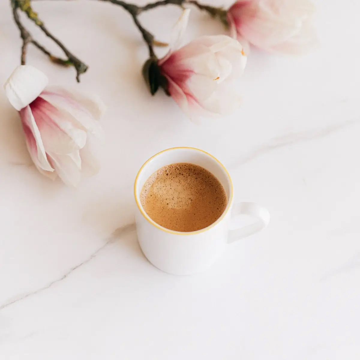 Overcoming Dental Phobia: A Guide for Anxious Patients | Blog ...